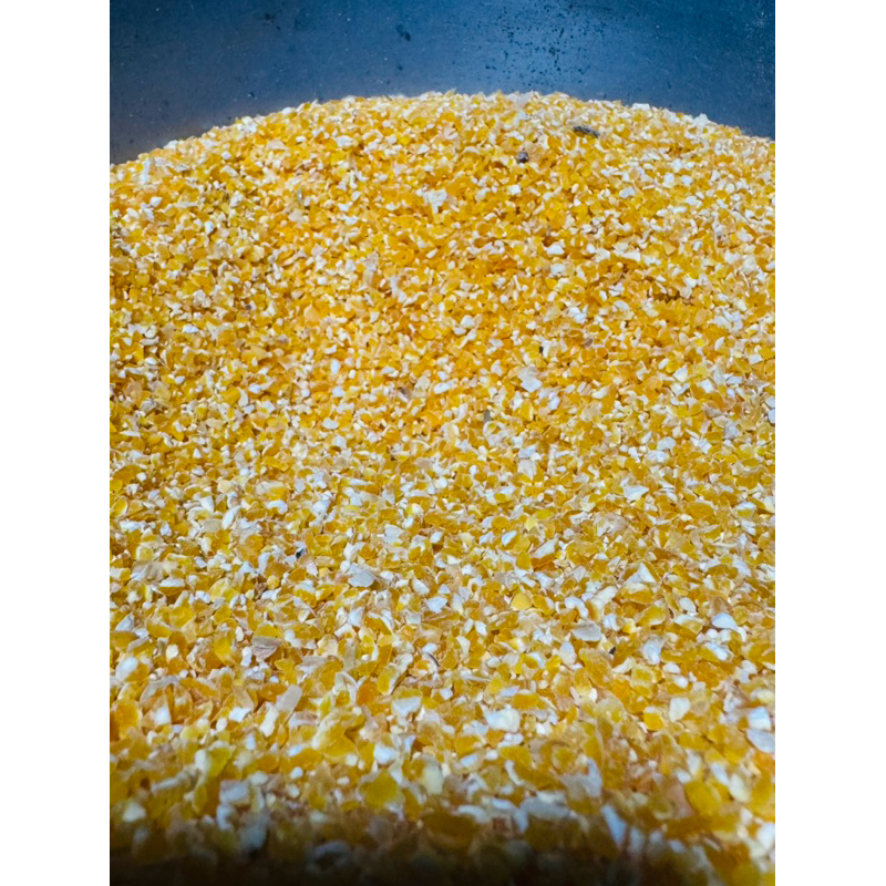 Jual Jagung pecah jagung giling pakan ayam campuran pakan ternak ...