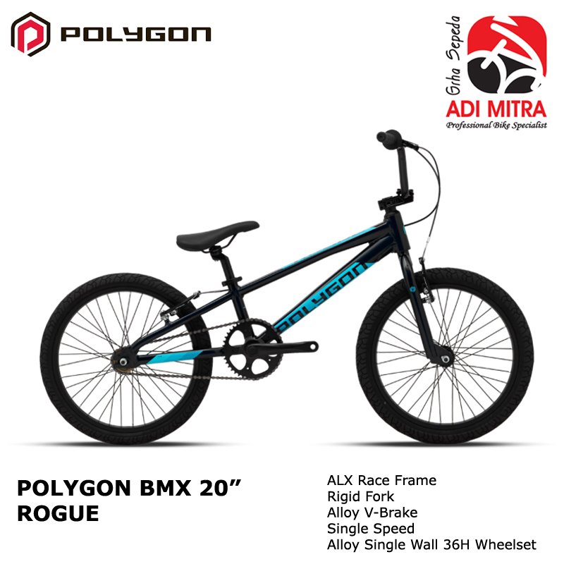 Jual Polygon Rogue Sepeda BMX Anak 20 inch | Shopee Indonesia