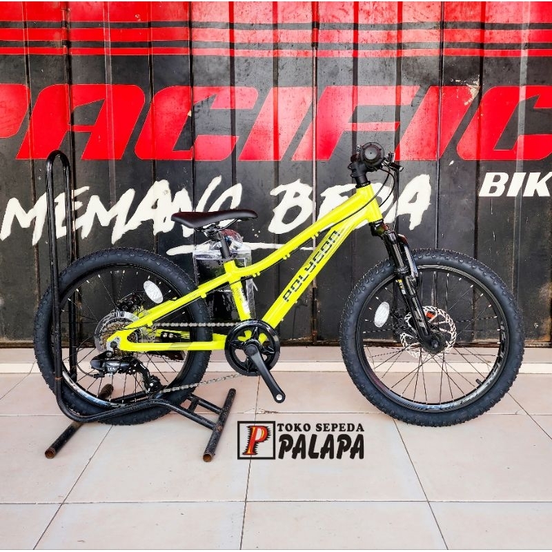 Jual SEPEDA ANAK BMX 20 POLYGON RELIC MTB | Shopee Indonesia