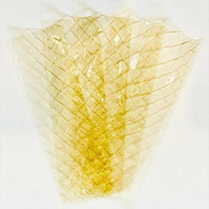 Jual JKL Gelatin Gelita Sheet 5 Lembar / Gelatine Gelita Sheets ...