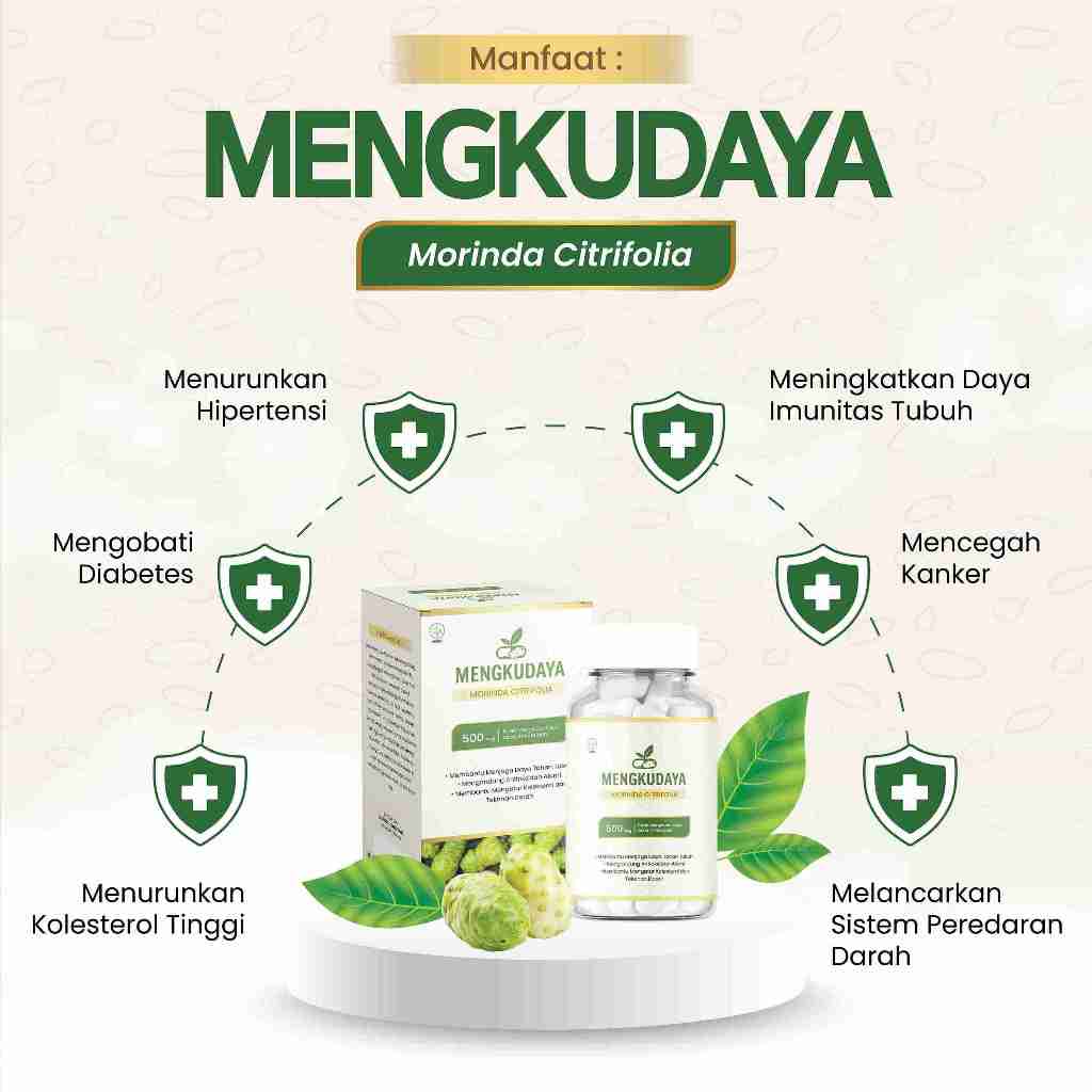 Jual Kapsul Mengkudaya Ampuh Turunkan Kolesterol - 100% Ekstrak ...