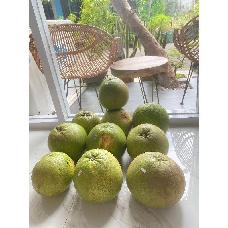 Jual Jeruk Pamelo / Jeruk Bali | Shopee Indonesia