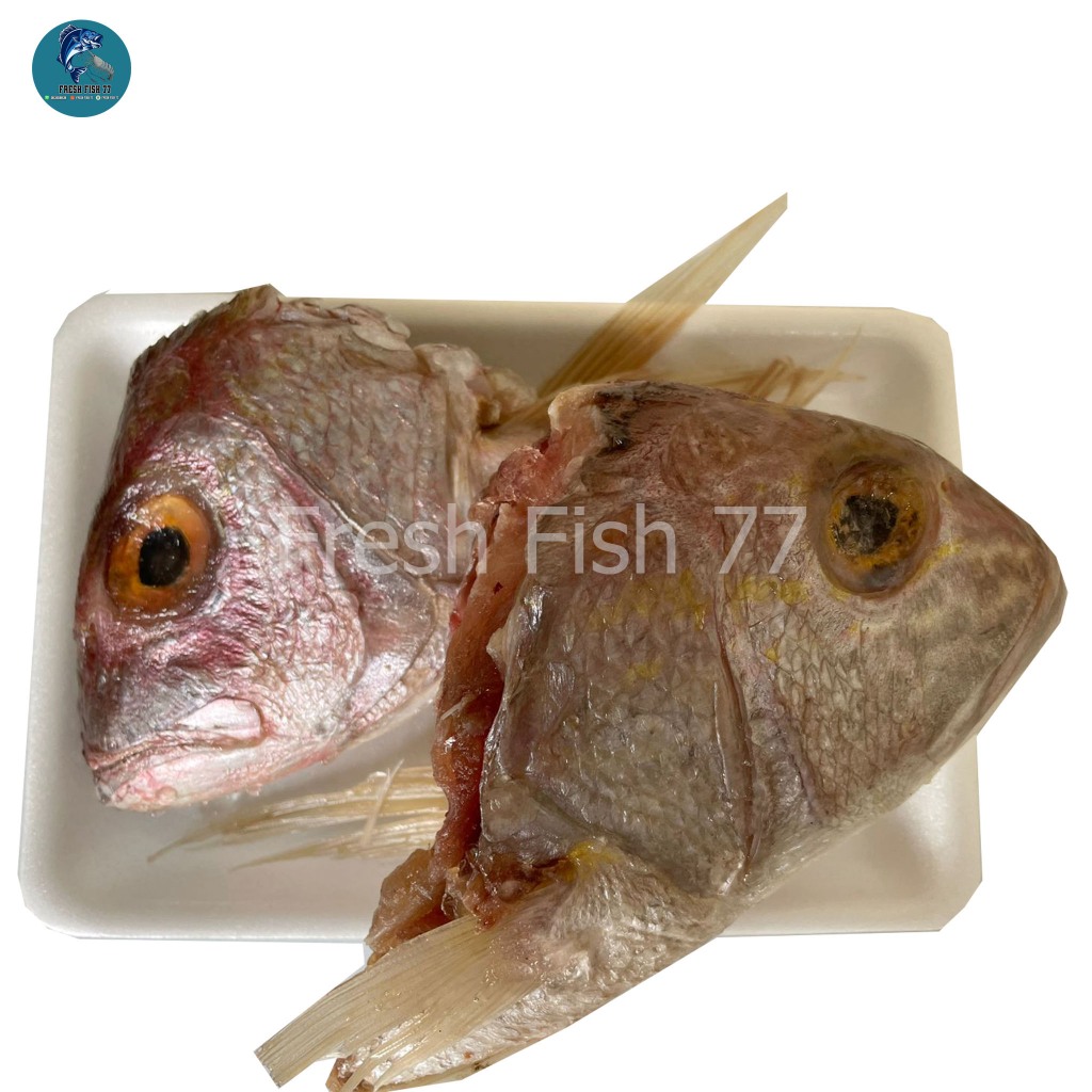 Jual Kepala Ikan Kurisi (1kg Isi 2 ) | Shopee Indonesia