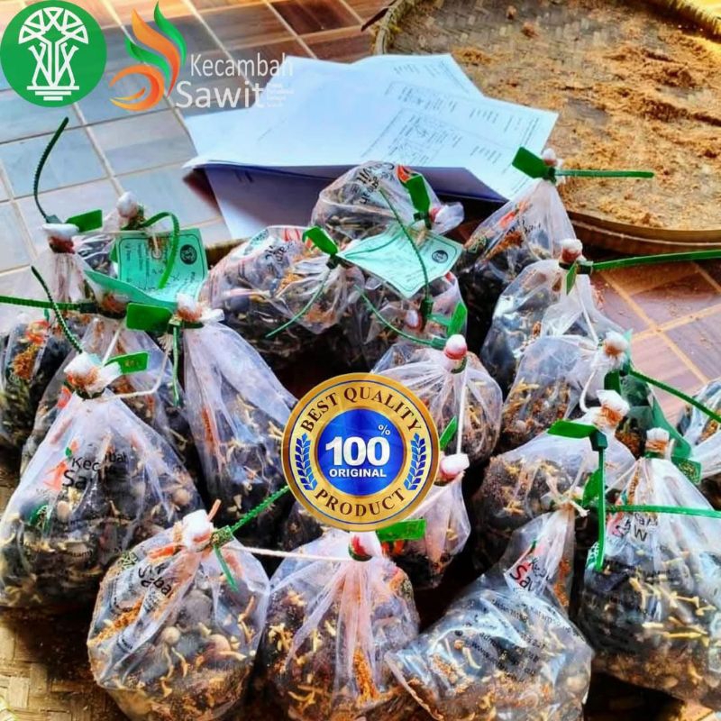 Jual Benih Bibit Kecambah Sawit PPKS DxP 239 Unggul (Isi 250 Butir ...