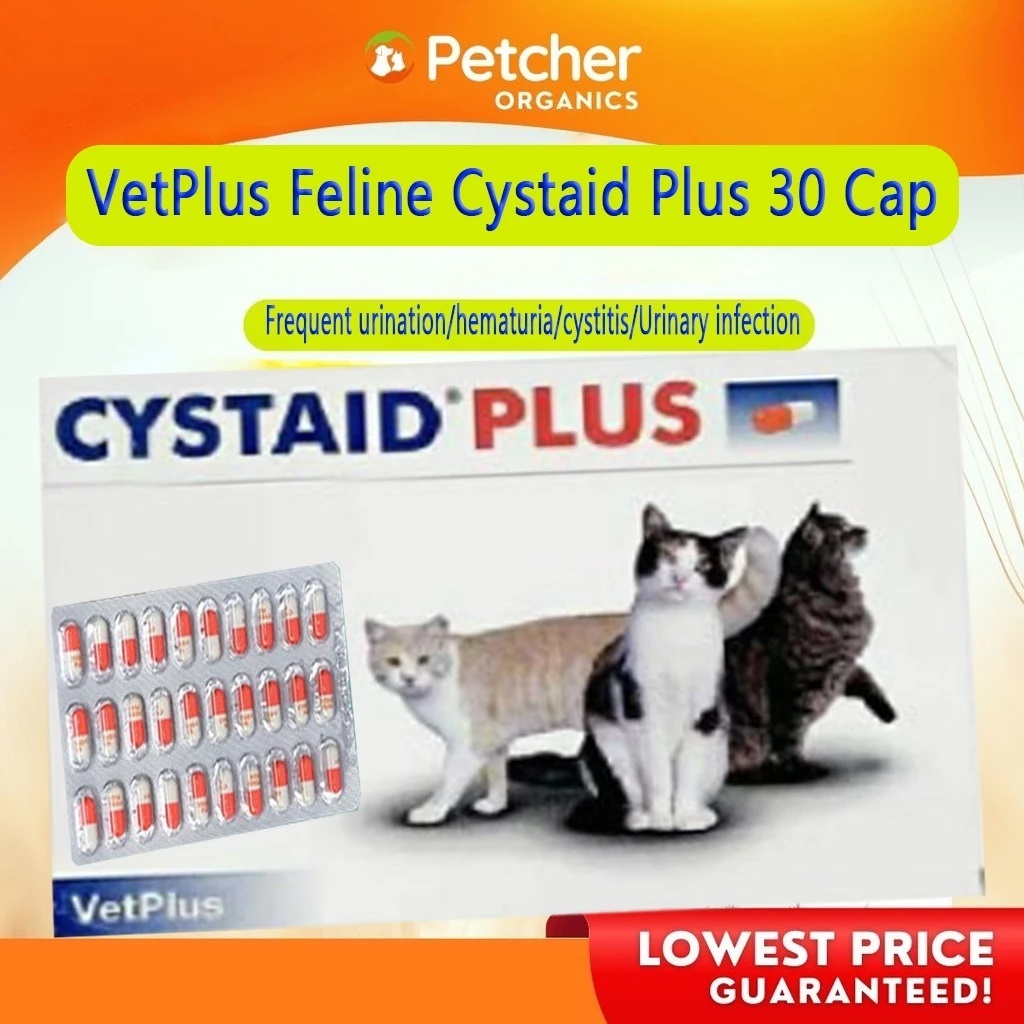 Jual Cystaid Plus Obat Infeksi Saluran Kemih Kucing Obat FLUTD Obat ...