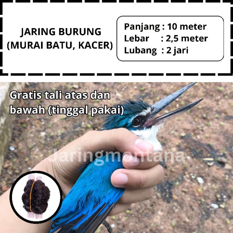 Jual PIKAT BURUNG RAJA UDANG JEBAKAN JARING BURUNG TENGKEK JALAK KEBO ...