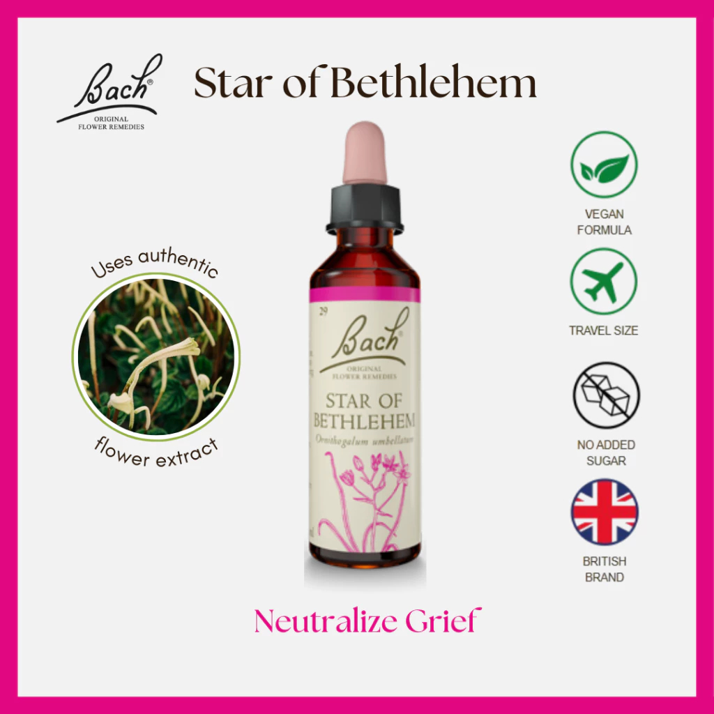 Jual Bach Flower Star of Bethlehem Rescue Essence (10ml) - Flower ...