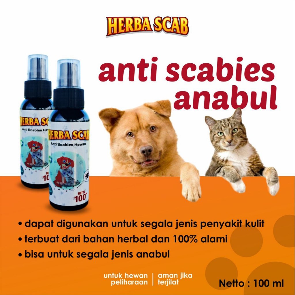 Jual Obat Anti Scabies Dan Jamur Kucing Impetigo Ampuh Masalah Anjing ...