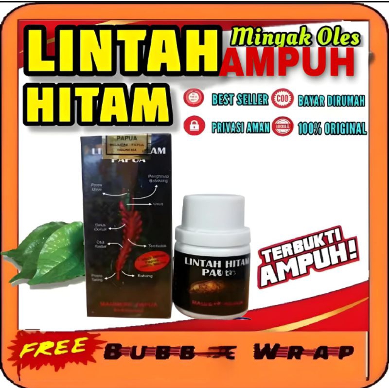 Jual PEMBESAR MR P/MINYAK LINTAH HITAM PAPUA 100% ORIGINAL ASLI PAPUA | Shopee Indonesia