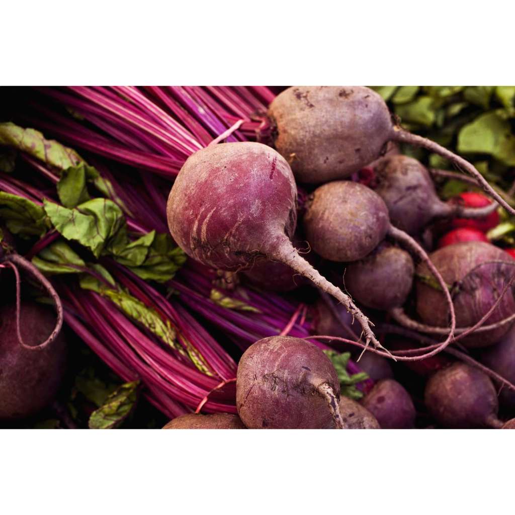 Jual Buah Beet Bit Beetroot Segar 1 KG Sehat Lokal Smoothiemama | Shopee Indonesia