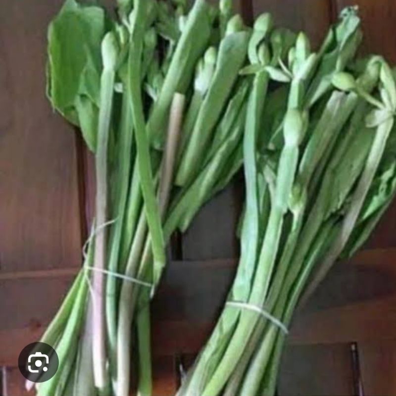 Jual SAYUR GENJER/ BUNGA ( 3 ikat ) | Shopee Indonesia