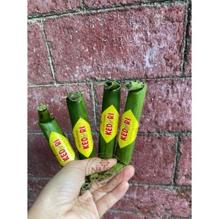 Jual Getuk Pisang Mini Asli Kediri 1 Biji | Shopee Indonesia
