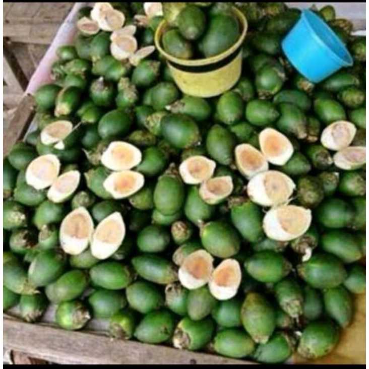 Jual Buah pinang muda/jambe muda segar 1kg | Shopee Indonesia