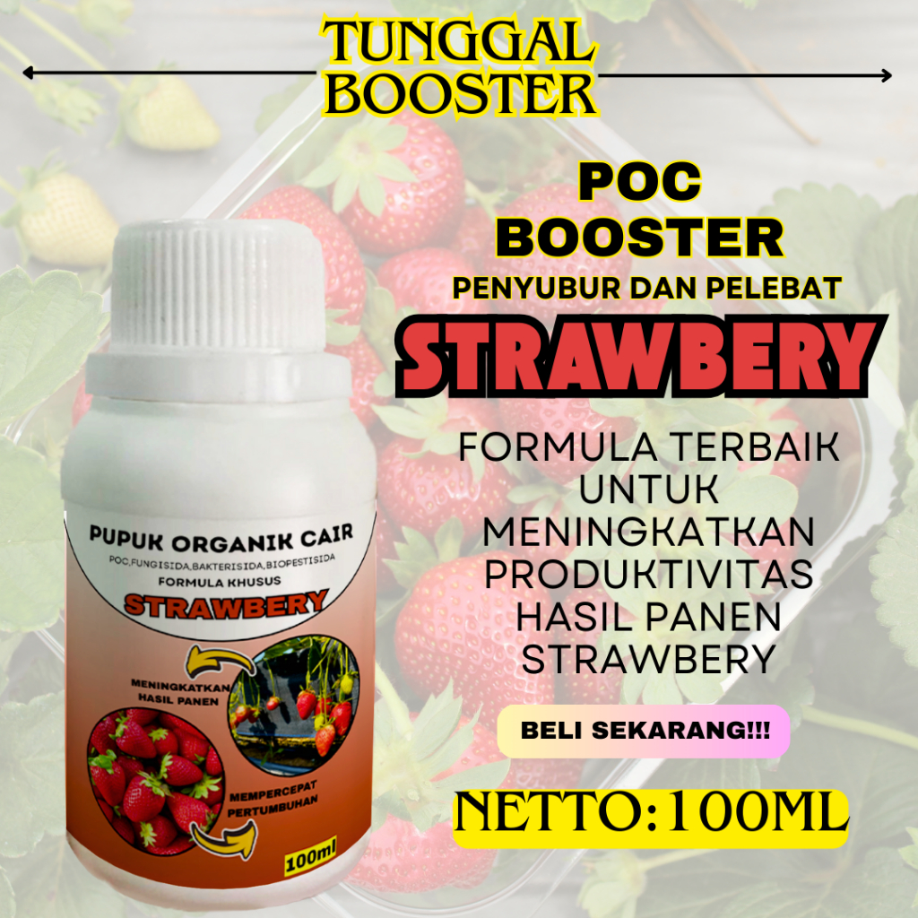 Jual Pupuk Organik Cair Tanaman Strawbery premium 100ml-Booster Pelebat,Penyubur dan Perangsang ...
