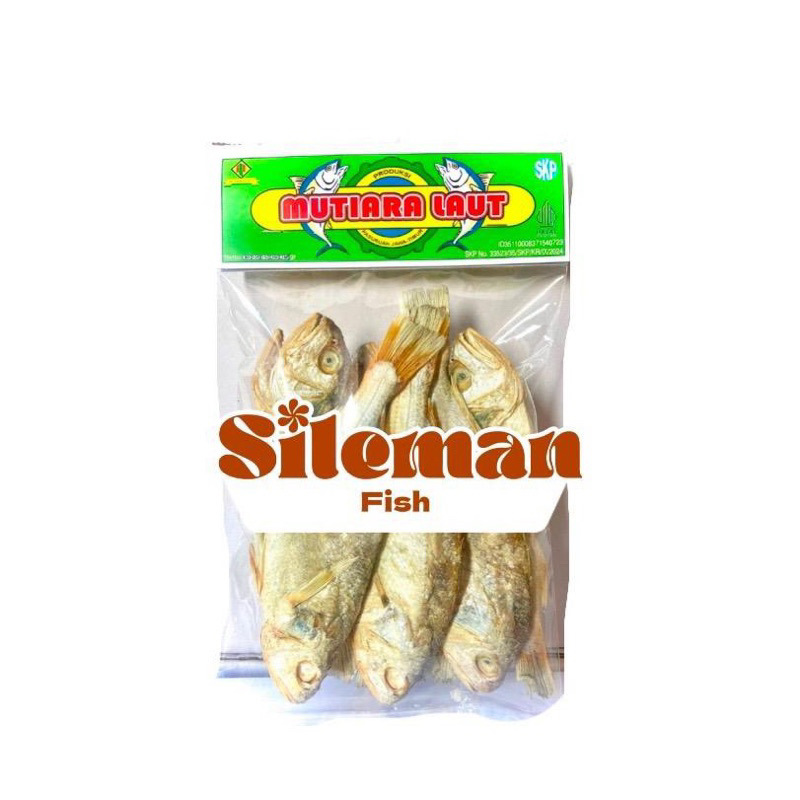 Jual IKAN ASIN SILEMAN KHAS PASURUAN (250 GRAM) | Shopee Indonesia