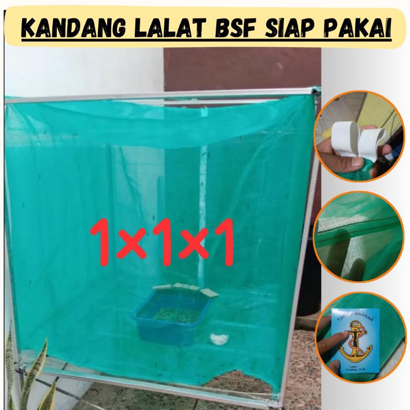 Jual kandang lalat bsf // jaring lalat bsf // maggot bsf ukuran 1x1x1M ...