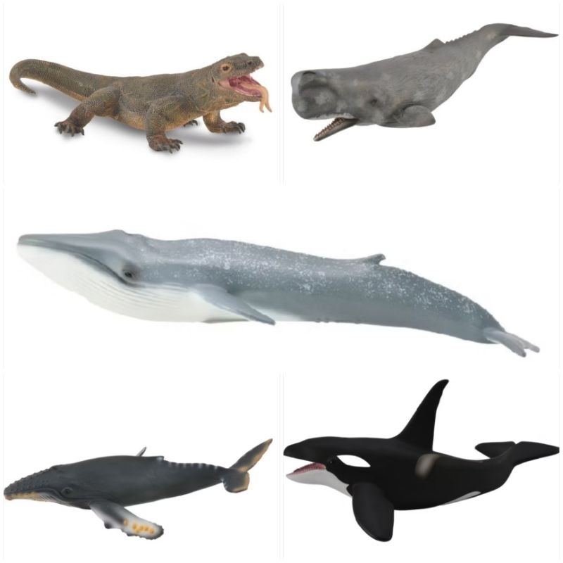 Jual Collecta Animals Figure Komodo Dragon Sperm Whale Blue Whale Orca ...