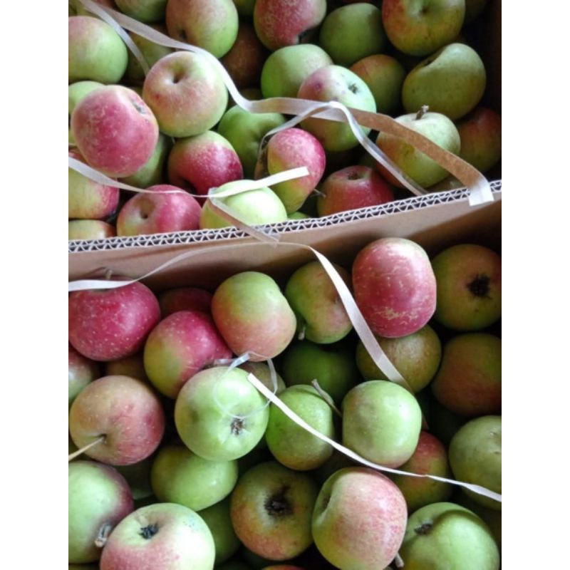 Jual Apel malang/apel hijau(500g) | Shopee Indonesia