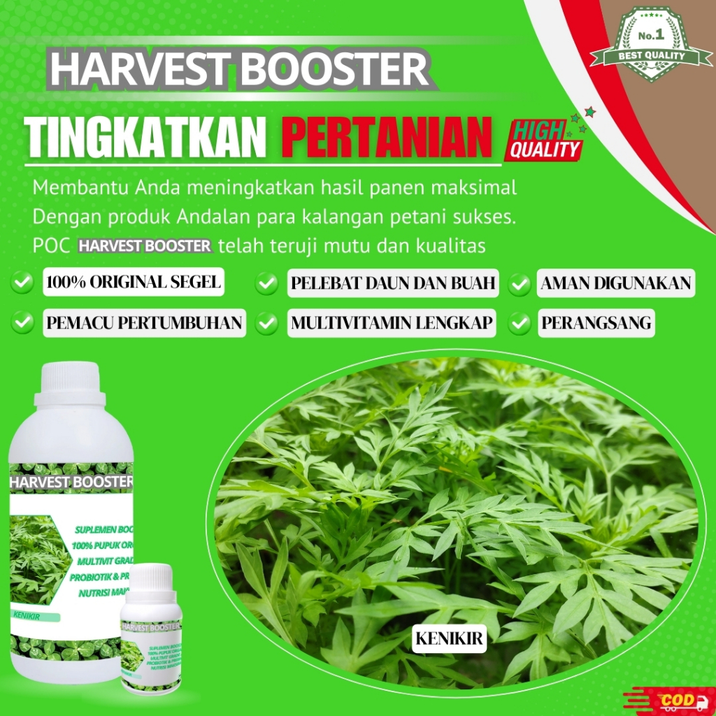 Jual PUPUK ORGANIK CAIR 100% untuk tanaman KEMANGI Pemacu Pertumbuhan Pelebat Daun Dan Buah ...