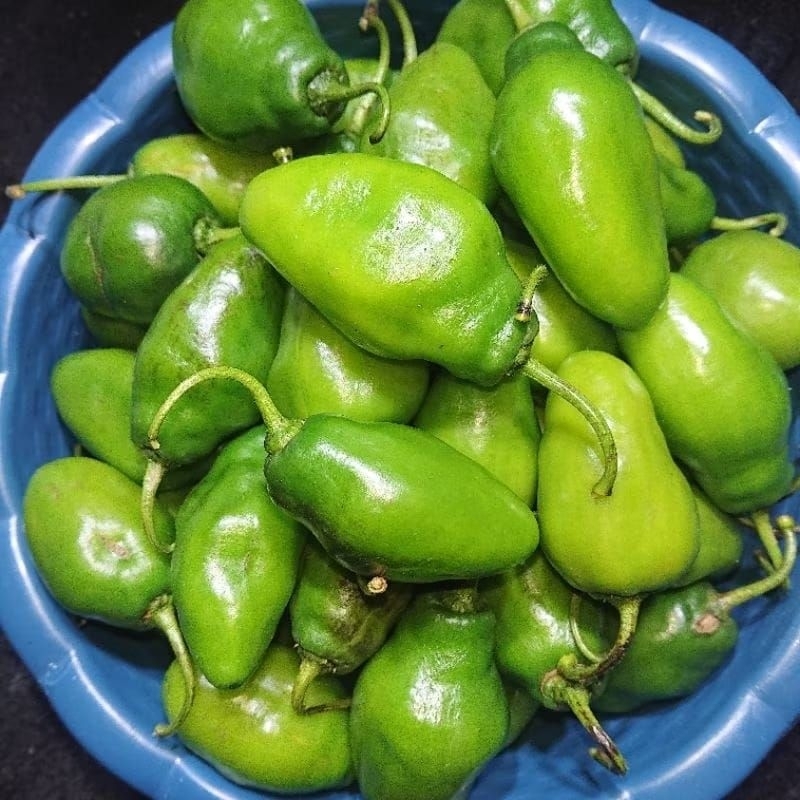 Jual Cabe Gendot Segar Isi 1000gr/1kg - paket hemat buah/sayuran cabe ...
