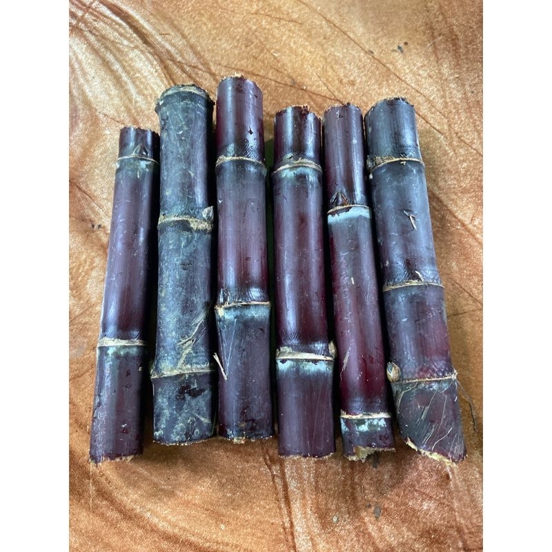 Jual PERBATANG Bibit Tebu Hitam Asli / Tebu Ireng Unggul – Siap Tanam ...