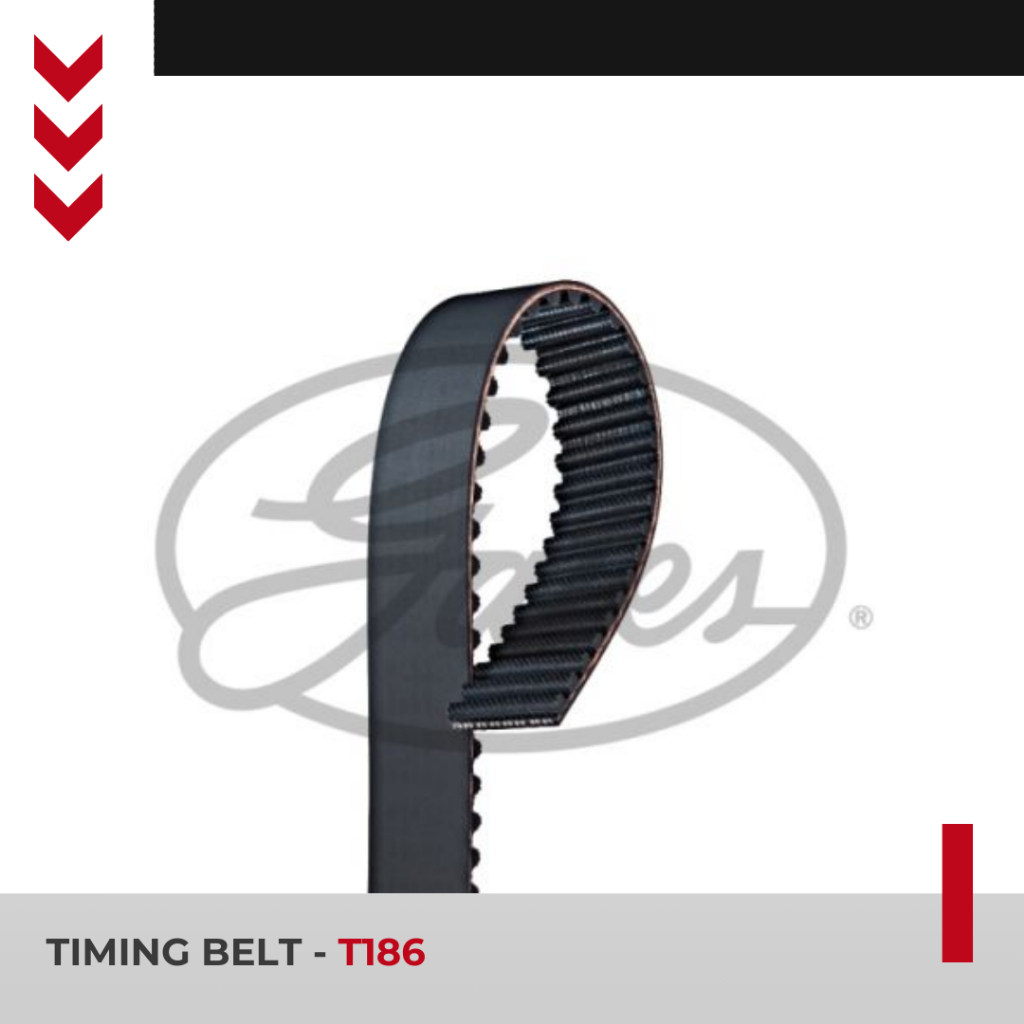 Jual Gates Timing Belt Accord Maestro short / Timing Belt T186 (Nitrile ...