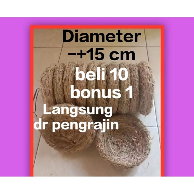 Jual sarang burung PERKUTUT Murah(LANGSUNG PENGRAJIN) | Shopee Indonesia