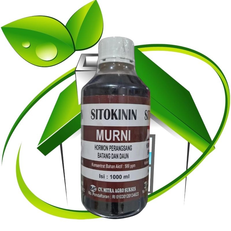 Jual Sitokinin Murni 1 Liter – Hormon Perangsang Batang dan Daun ...
