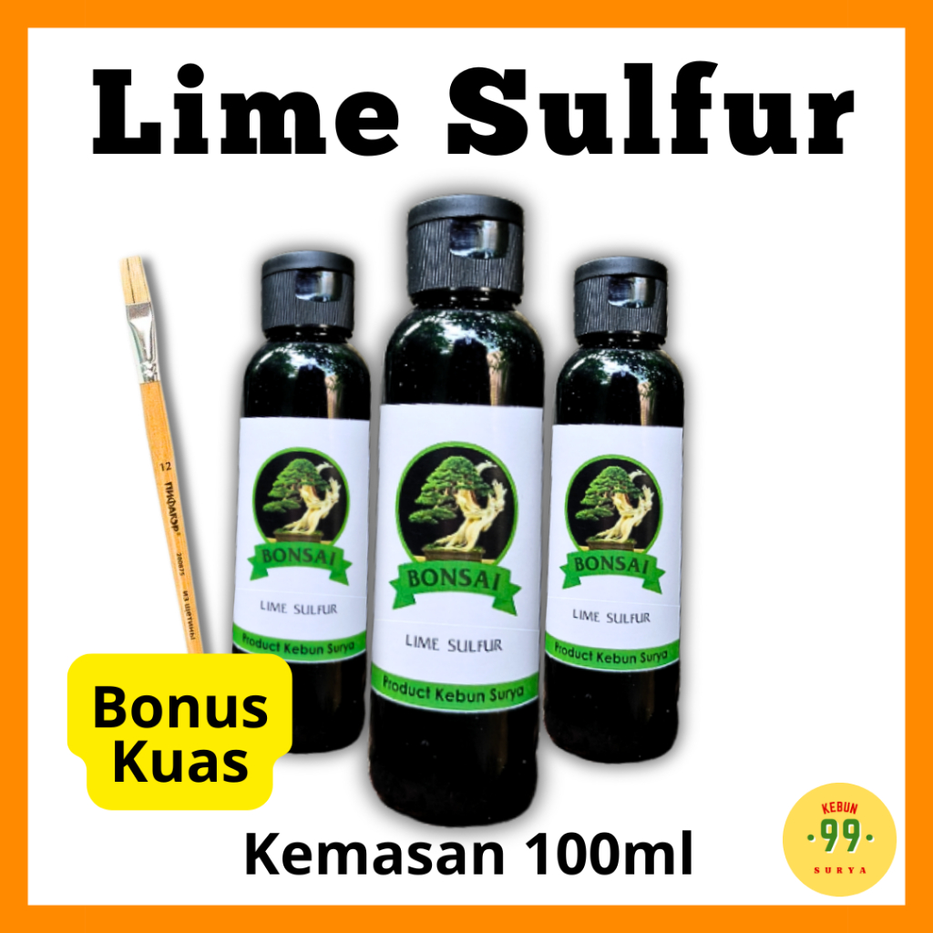 Jual Lime Sulfur Bonsai Obat Jin Pengawet Kayu Mati Bonsai Santigi ...