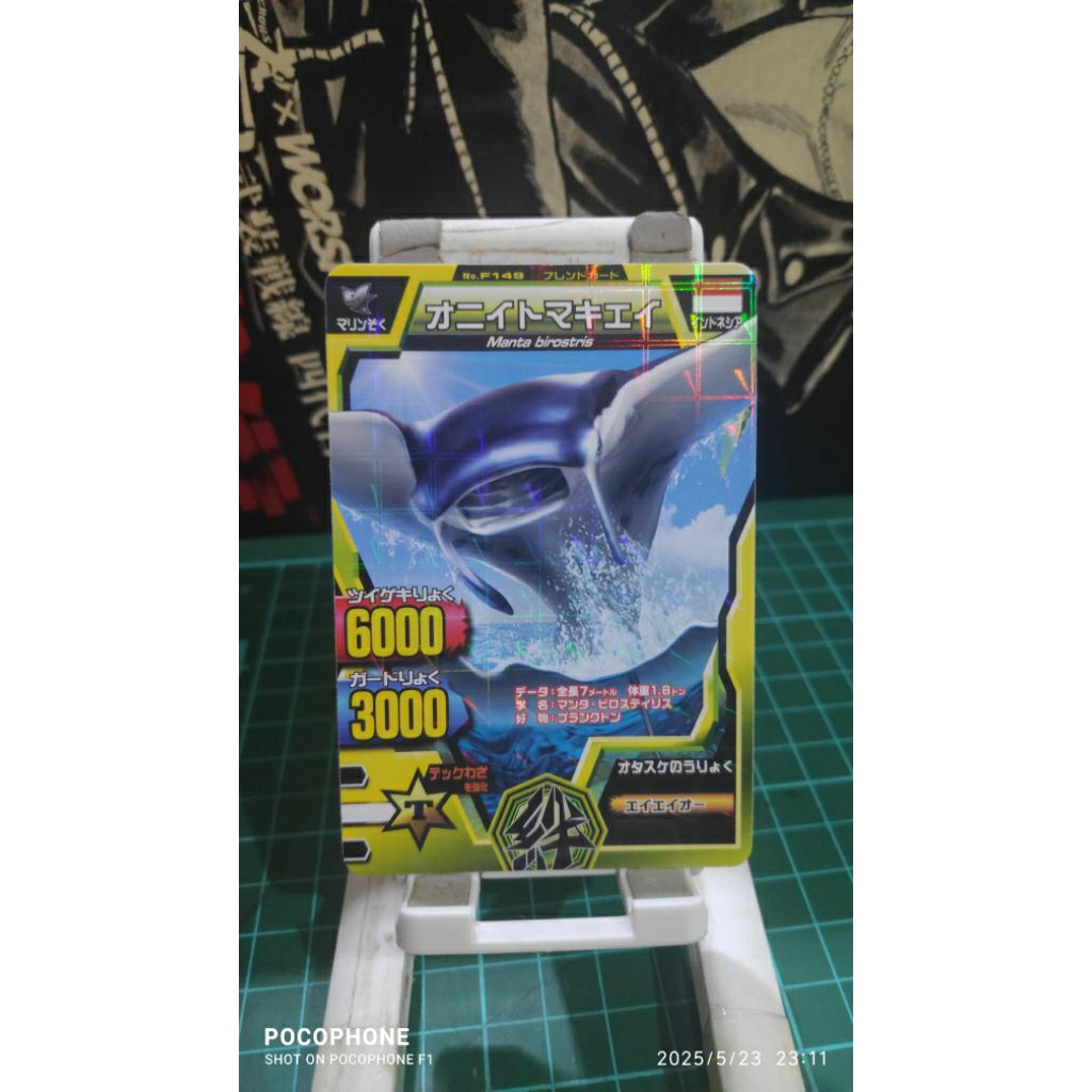 Jual kartu animal kaiser friend manta ray japan card | Shopee Indonesia