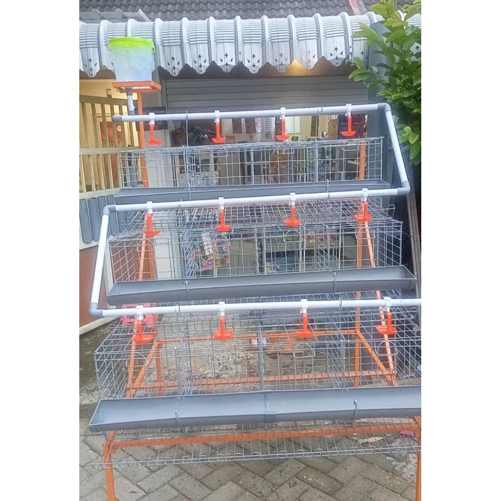 Jual Kandang Batre Galvanis Ayam Petelur Full Set Lengkap Kapasitas 20, 24 & 30 Ekor | Shopee ...