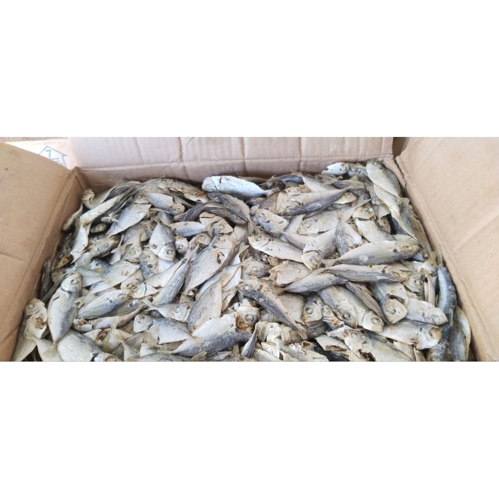 Jual Ikan Asin Rebus Selar 250 Gram ( Seperapat ) | Shopee Indonesia