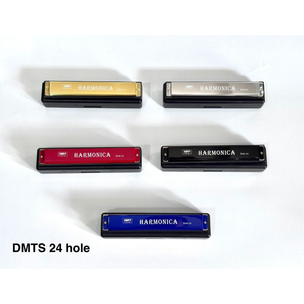 Jual DMTS Harmonica DMF Hole 24 / HARMONIKA PREMIUM HARD COVER | Shopee ...