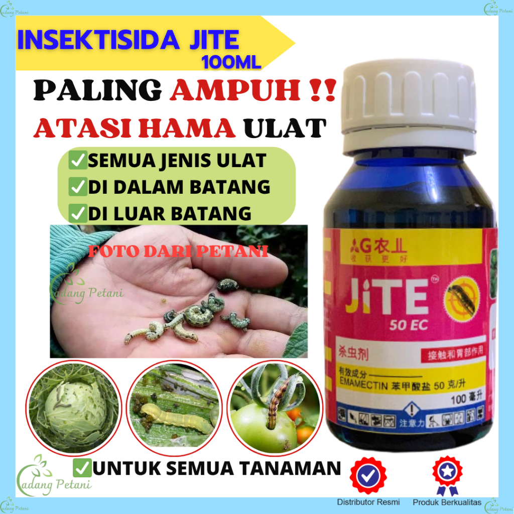 Jual JITE Insektisida Sistemik Racun Obat Pembasmi Hama Ulat, Ulat ...