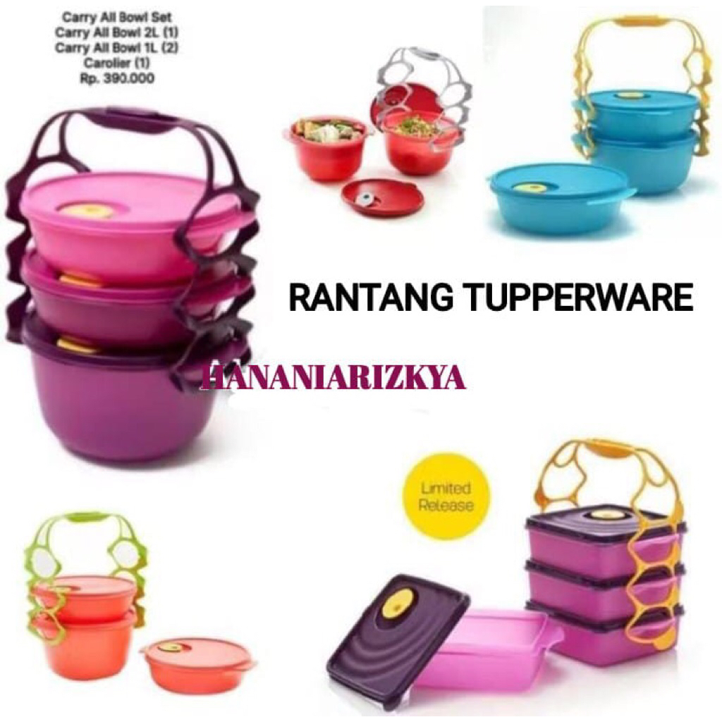 Jual rantang cary all bowl tupperware/rantang ctg tupperware | Shopee ...