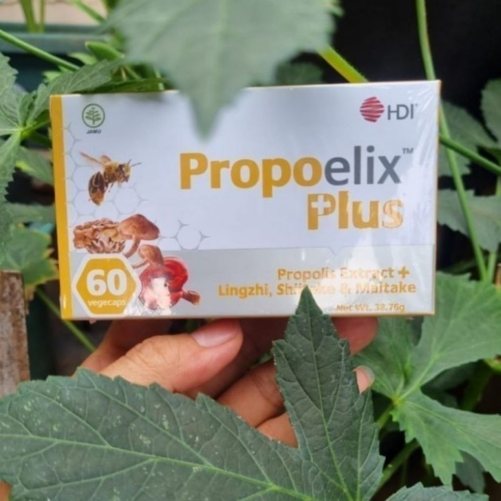 Jual propoelix plus 60 kapsul ori 2027 segel | Shopee Indonesia
