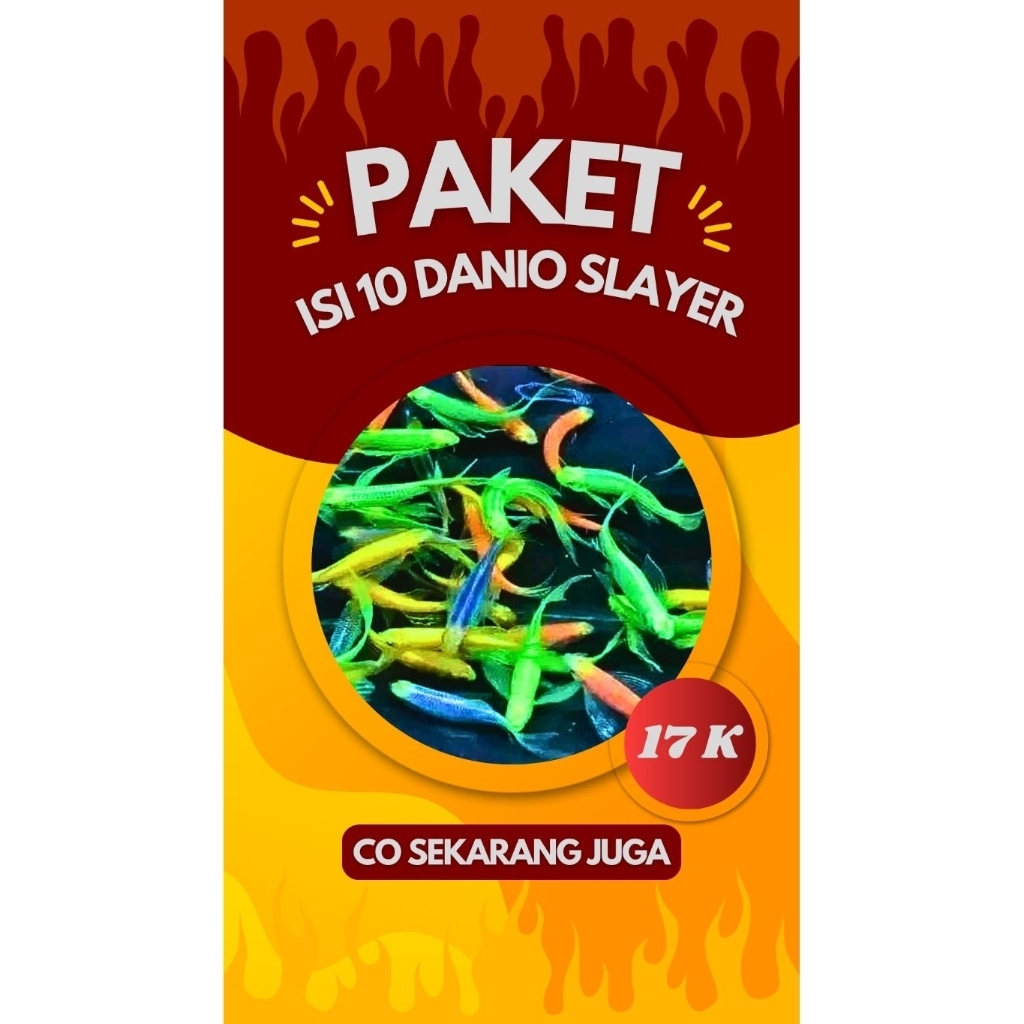 Jual Paket isi 10 Danio Slayer | Shopee Indonesia