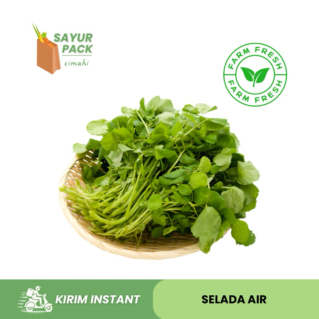 Jual SELADA AIR 1 IKAT | selada segar | jukut goreng | sayur instant ...
