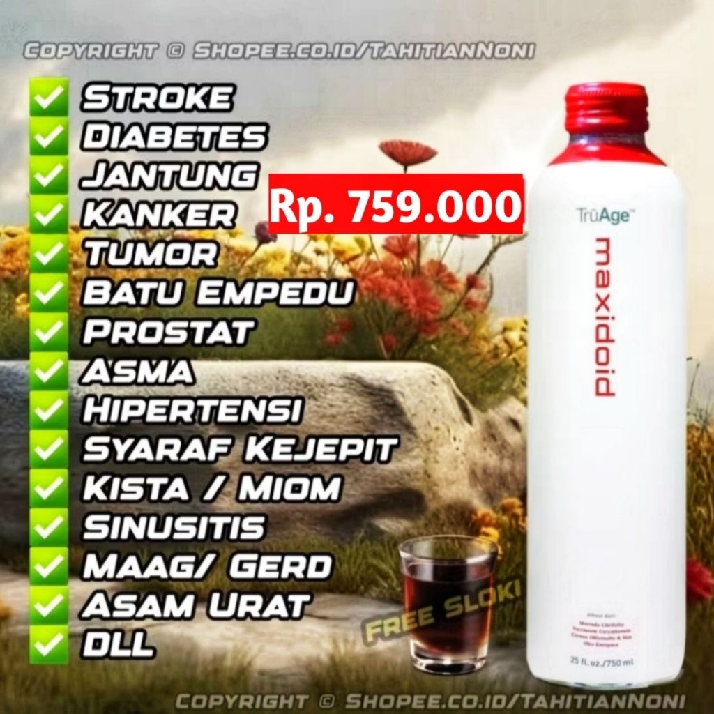 Jual 1 TNM MAXIDOID (Asam Urat Kolesterol Migrain Vertigo Psoriasis ...