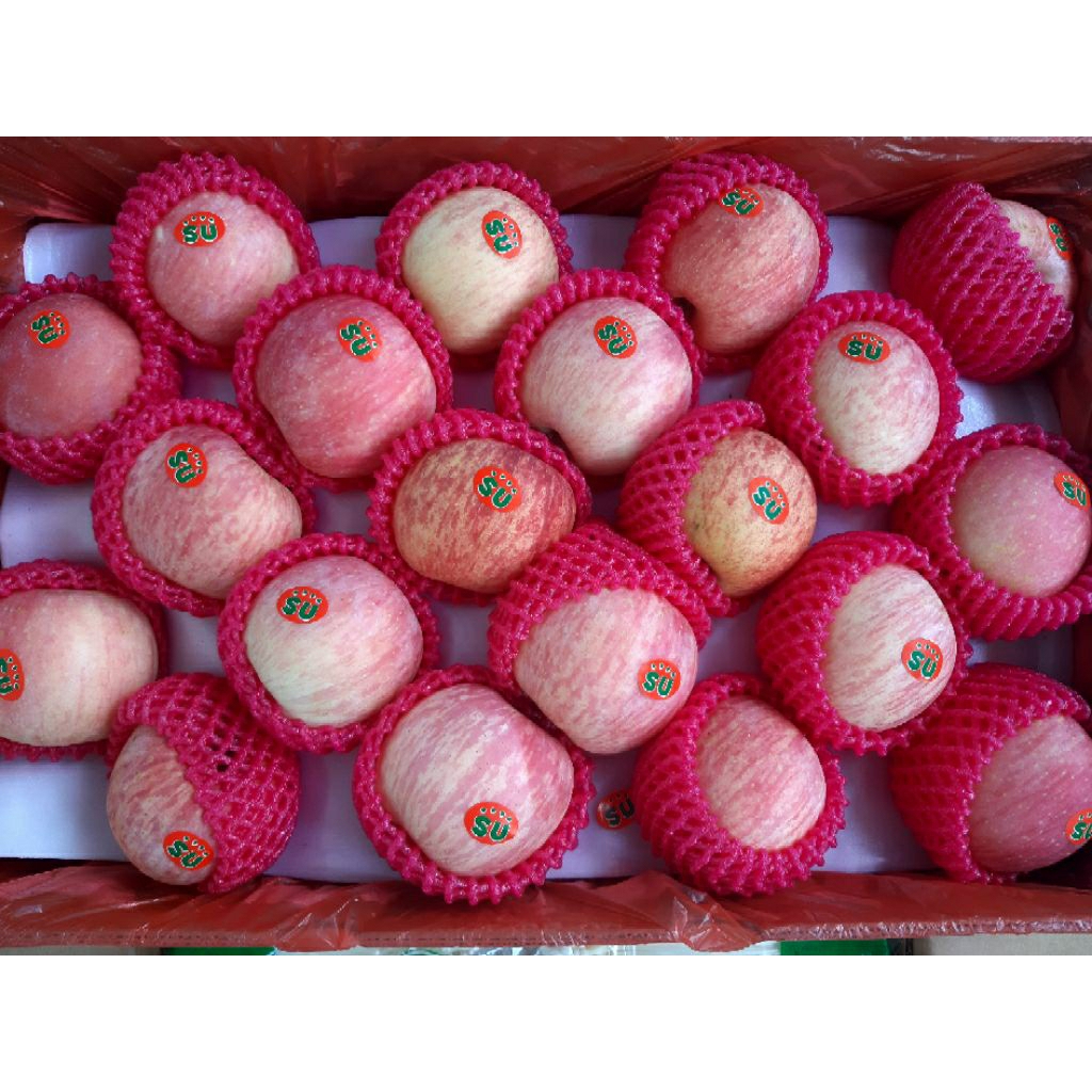 Jual Buah Apel Fuji SU (335gr) | Shopee Indonesia