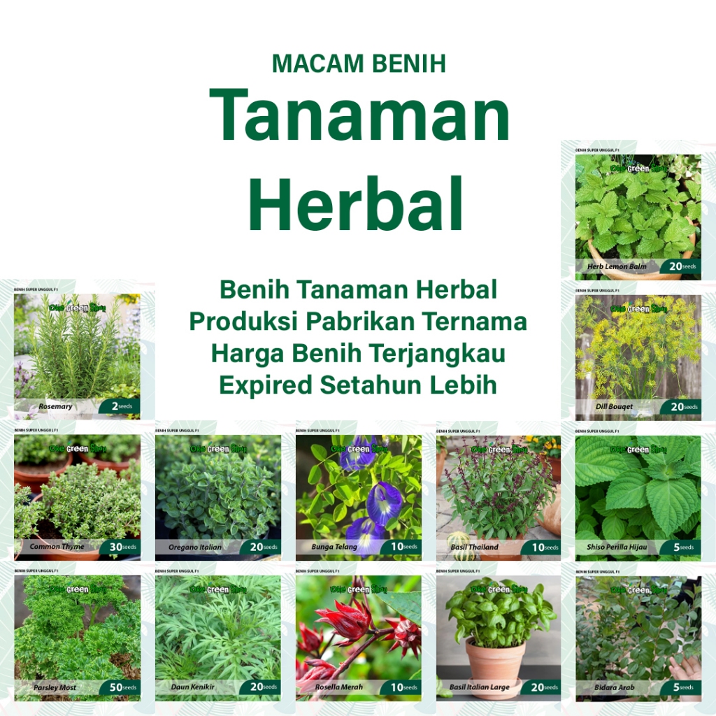 Jual BENIH SERIBUAN - Macam Macam Benih Tanaman Herbal Variasi Unggul ...