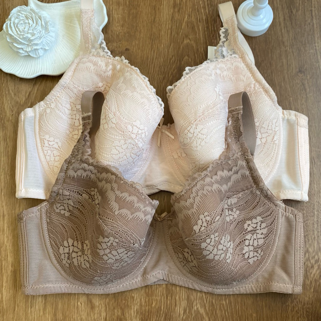 Jual FELANCY BRA 34C 36C 36D 38D 40D 36E 38E 40E C75 C80 C85 C90 D75 ...