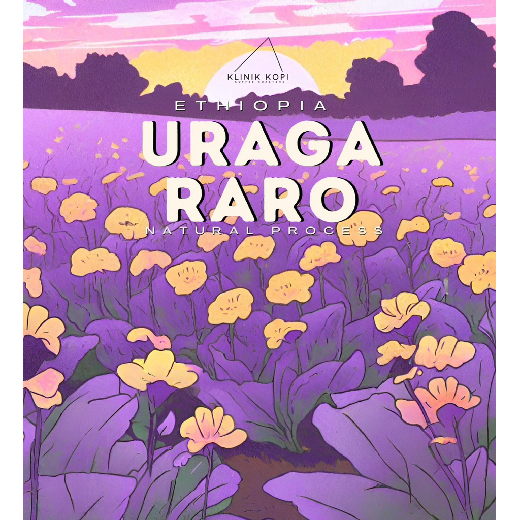 Jual Klinik Kopi Ethiopia Uraga Raro Natural Proses. | Shopee Indonesia