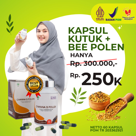 Jual KAPSUL KUTUK PREMIUM Asli 100 % Original BPOM Ikan Gabus Mempercepat Penyembuhan Luka Pasca ...