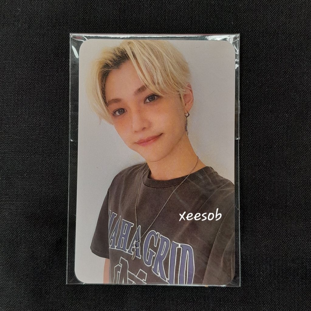 Jual OFFICIAL PHOTOCARD FELIX MAHAGRID STRAY KIDS | Shopee Indonesia