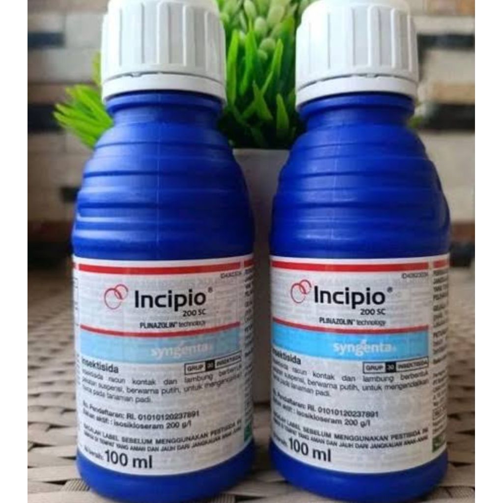 Jual Insektisida Sistemik Incipio 200SC 100ml | Pelindung Tanaman ...