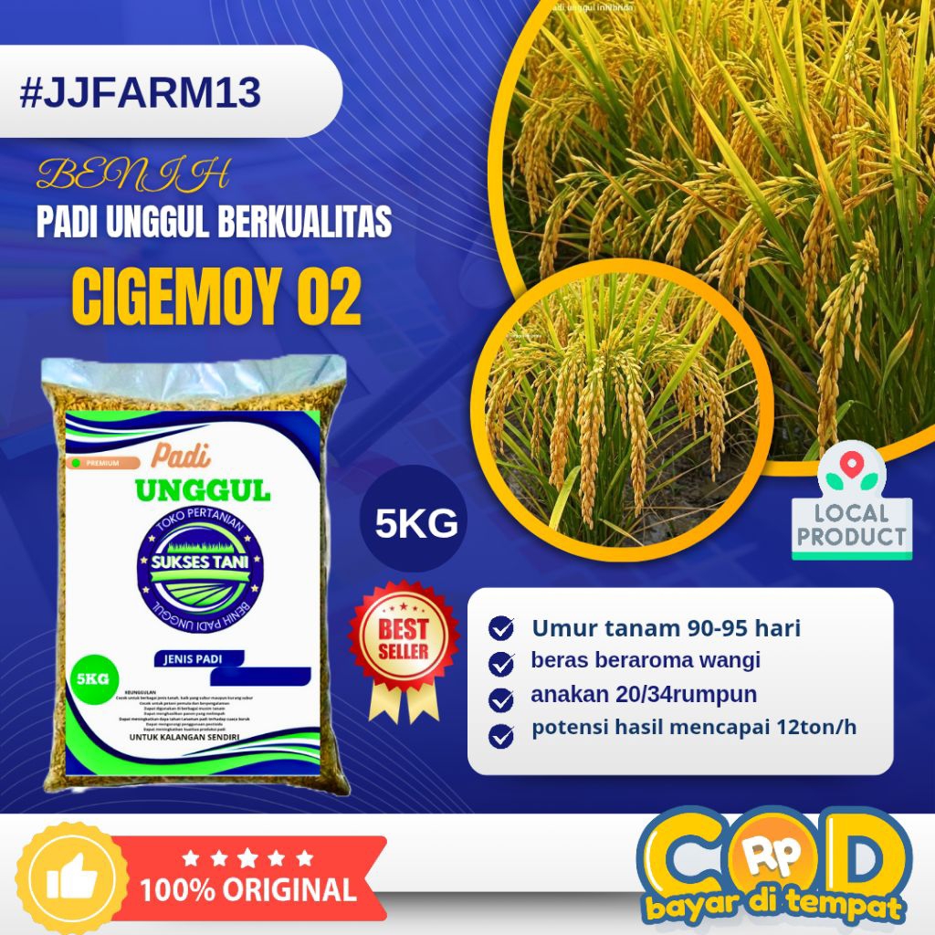 Jual BENIH PADI UNGGUL BERKUALITAS SI GEMOY 02 KEMASAN 5KG | Shopee ...