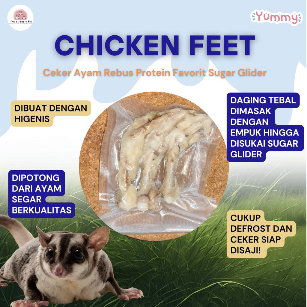 Jual Boiled Chicken Feet Sumber Protein Favorit Sugar Glider | Ceker ...