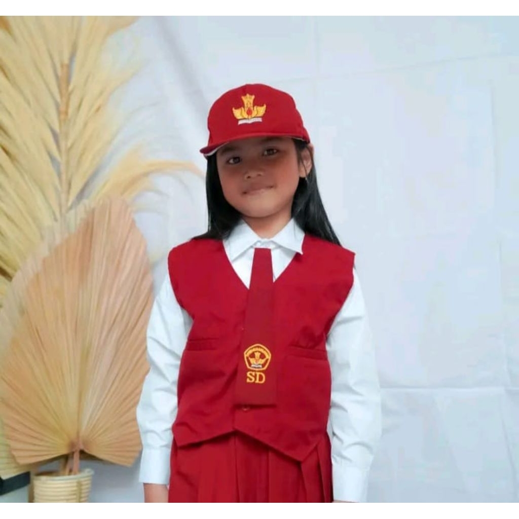 Jual Rompi Sekolah Dasar Rompi Anak Sd Cw Cowo Klas 1--5 | Shopee Indonesia
