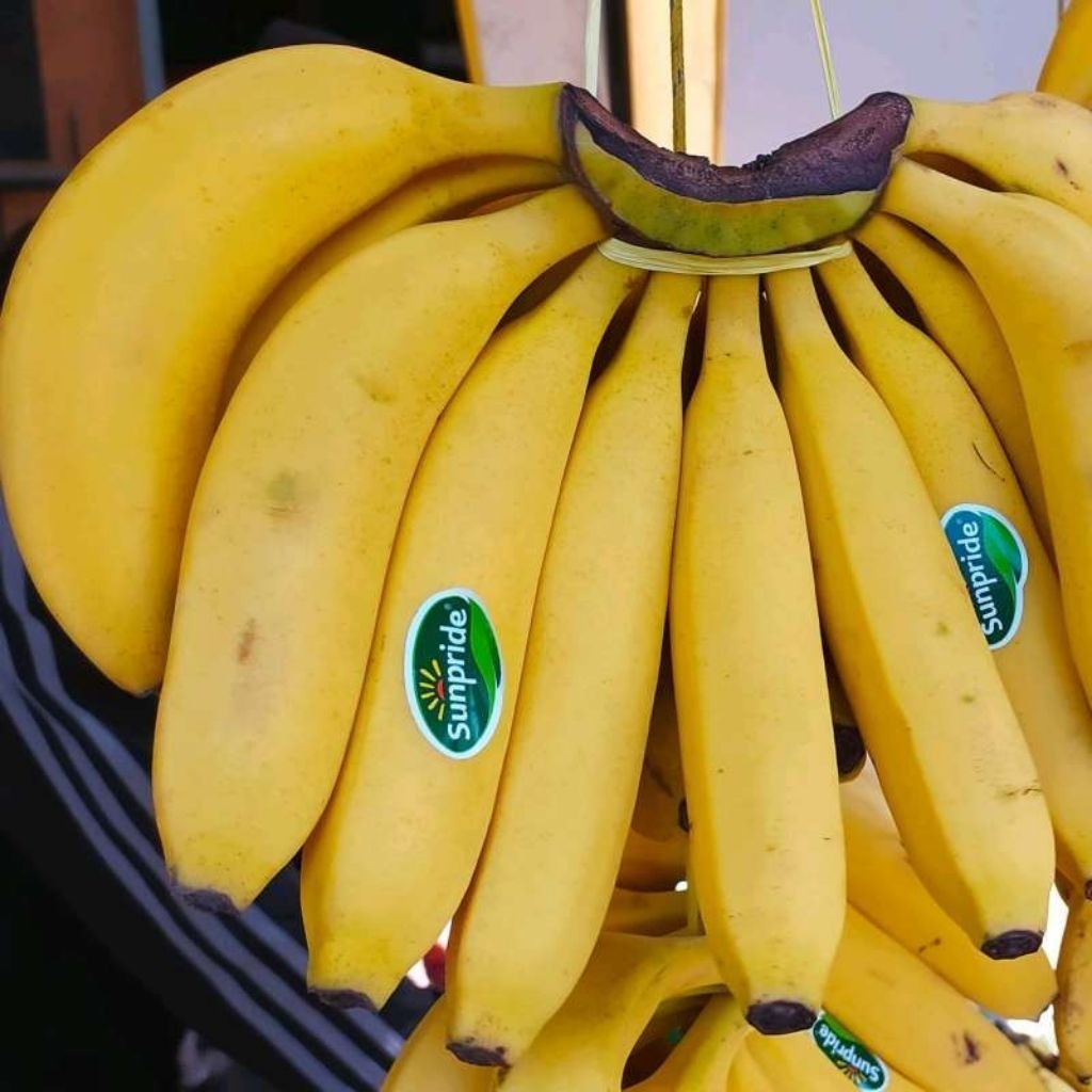 Jual Pisang Cavendish sunpride. | Shopee Indonesia
